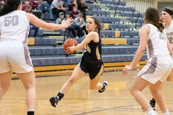 In photos by Burrill Strong: Chelsea girls basketball loses playoff ...