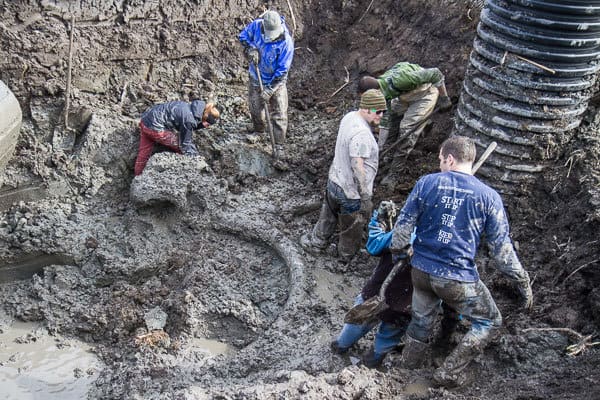 Woolly Mammoth photo gallery by Burrill Strong - Chelsea Update ...