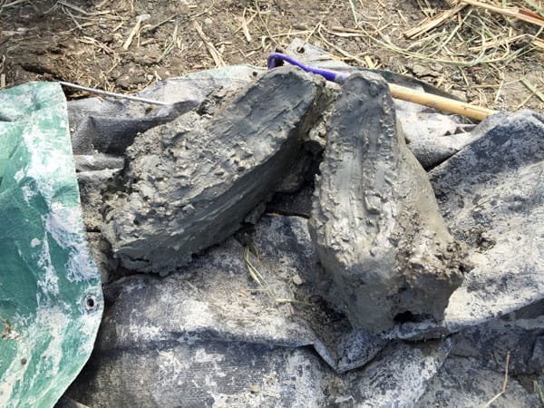 Possible Woolly Mammoth found on Lima Township farm - Chelsea Update ...