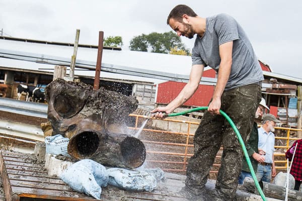 Woolly Mammoth artifacts cleaned before they head to U-M Museum of ...
