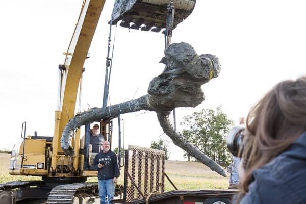 Woolly Mammoth photo gallery by Burrill Strong - Chelsea Update ...