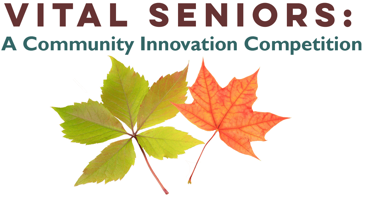 Chelsea Senior Center wins Vital Seniors awards - Chelsea Update ...