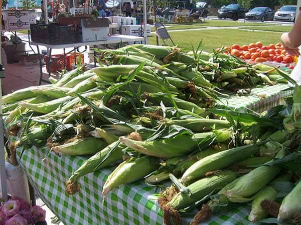 Aug. 7: stop by Pregitzer's Farm at the Chelsea Wednesday Farmers ...