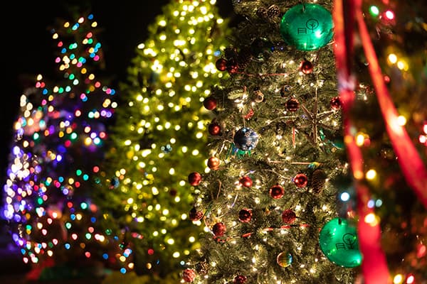 What To Do With Your Christmas Tree - Chelsea Update: Chelsea, Michigan ...