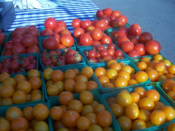 July 17: What to Expect at the Chelsea Farmers Market - Chelsea Update ...
