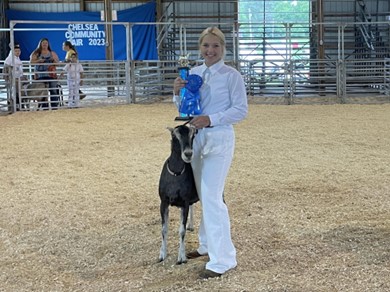Emma Marshall Senior Showmanship, Grand Champion During Goat Judging ...