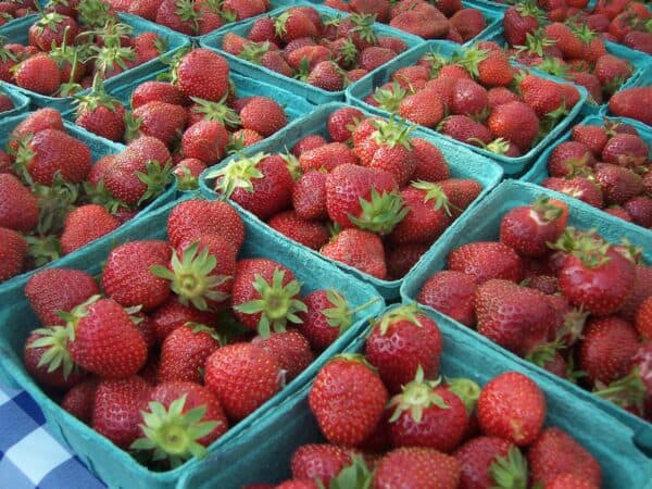 June 5: Strawberries at the Wednesday Farmers Market - Chelsea Update ...