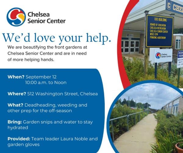 Chelsea Senior Center Asking for Garden Help Sept. 12 - Chelsea Update ...