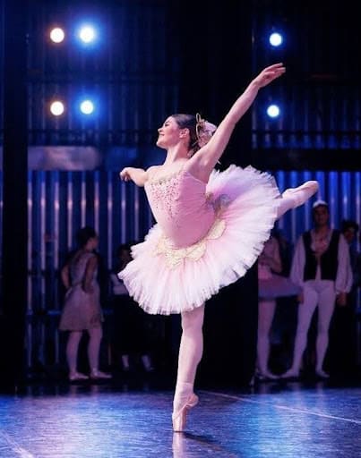 Sept. 11-21: Ballet Chelsea’s 2024 Fundraising Campaign - Chelsea ...
