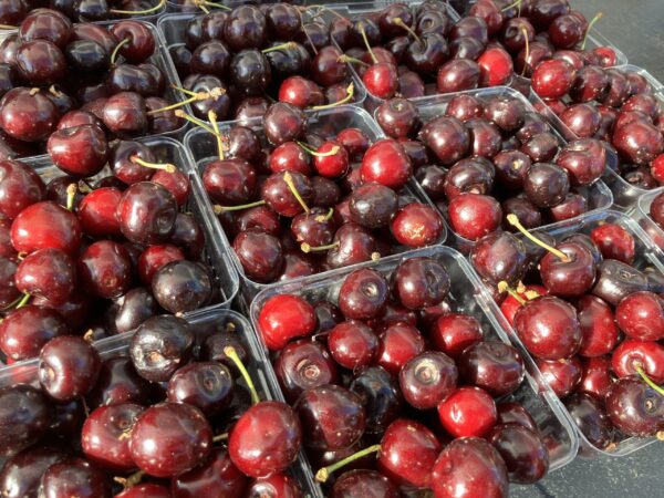 July 5: Lots of Produce, Flowers and Goodies at the Saturday Farmers ...