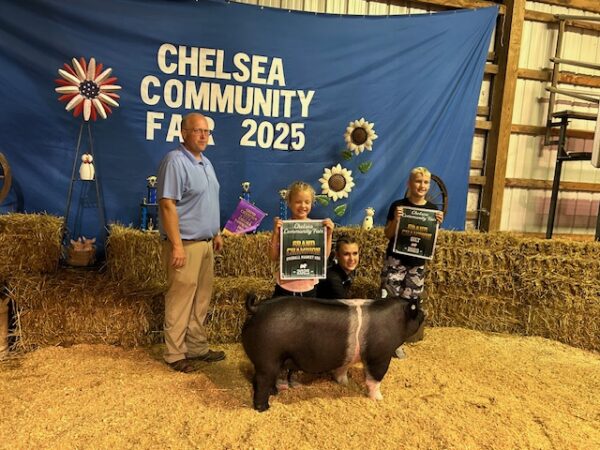 2025 Chelsea Community Fair: Adalyn Gilbert Sweeps Pig Competition ...
