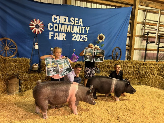 2025 Chelsea Community Fair: Adalyn Gilbert Sweeps Pig Competition ...