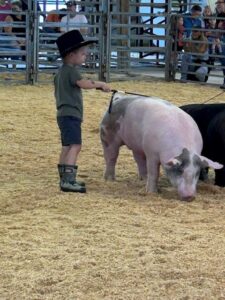 2025 Chelsea Community Fair: Adalyn Gilbert Sweeps Pig Competition ...