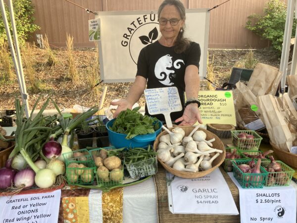 Aug. 9: What to Expect at the Chelsea Farmers Market - Chelsea Update ...