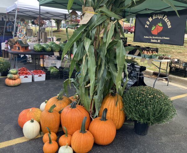 Sept. 17: What to Expect at the Wednesday Farmers Market - Chelsea ...