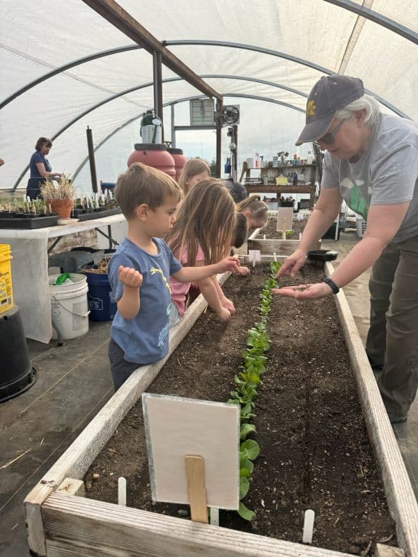 Where Generations Meet: Chelsea Senior Center and Chelsea Schools Grow ...